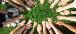 Comitato: cosa fa, come funziona, quanto costa