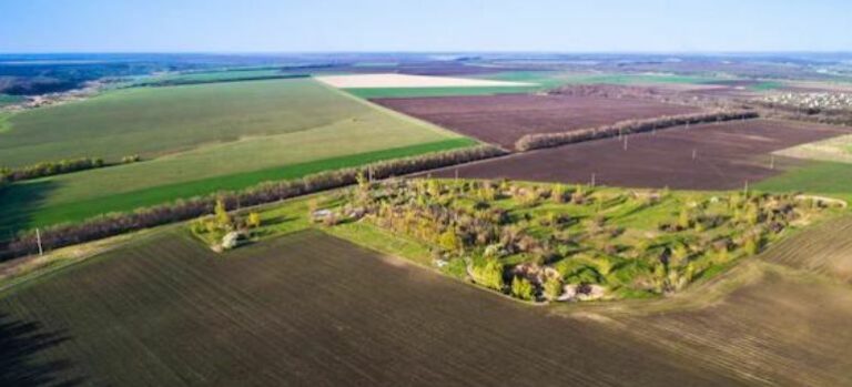 Servitù di passaggio: costituzione, cosa prevede, diritti e doveri